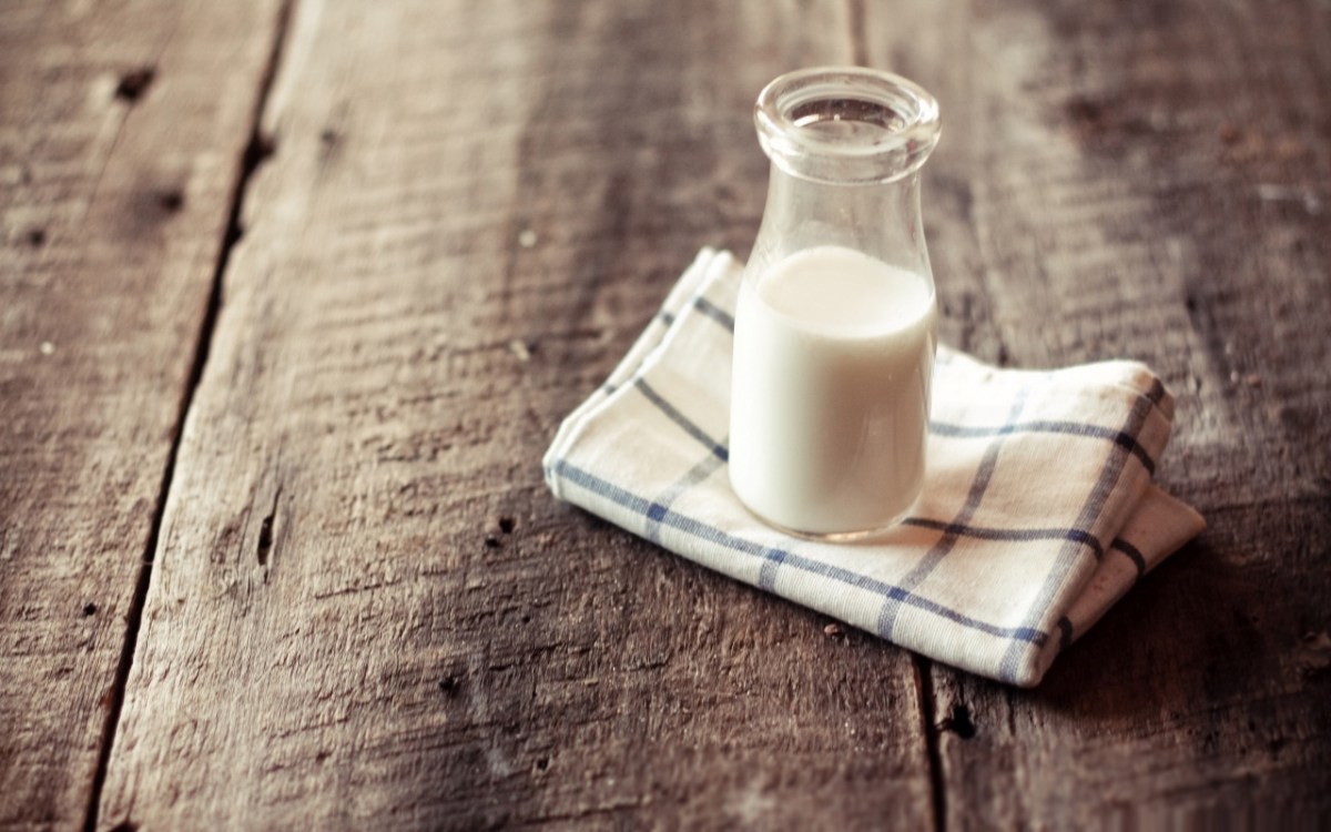 Intolerância à lactose X alergia à proteína do leite | Tem ciência no ...